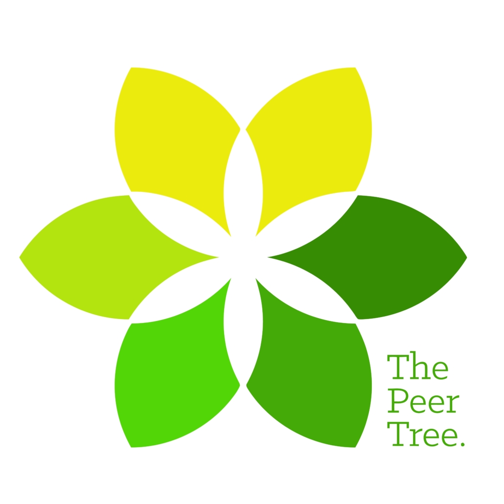 Kites Peer Youth - Kites Trust